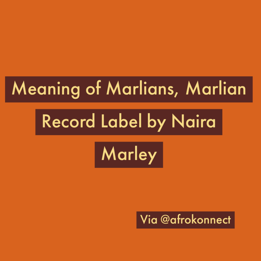 Meaning of Marlians, Marlian Record Label by Naira Marley - Full Info ...
