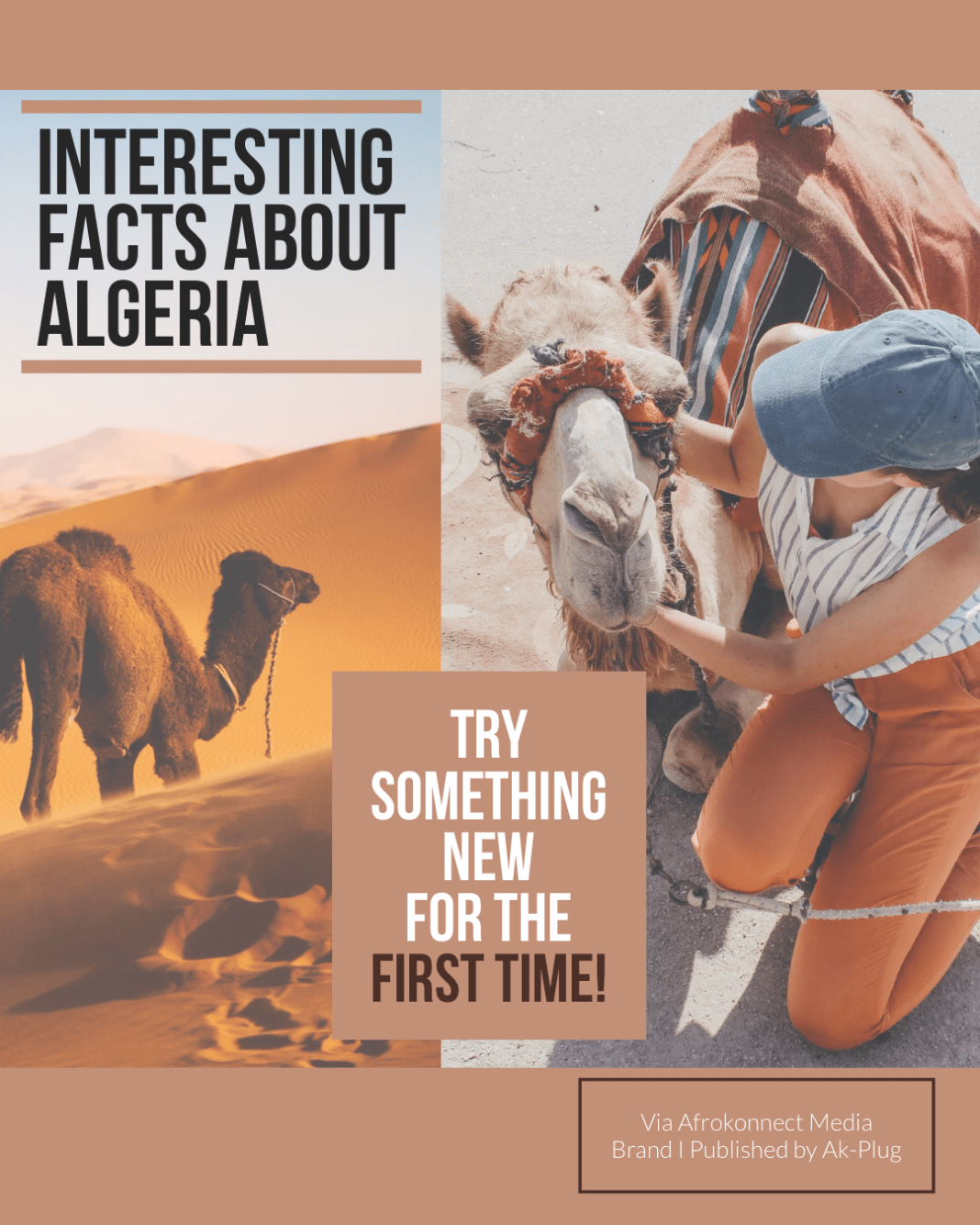 Top 10 Most interesting fun facts about Algeria - Afrokonnect