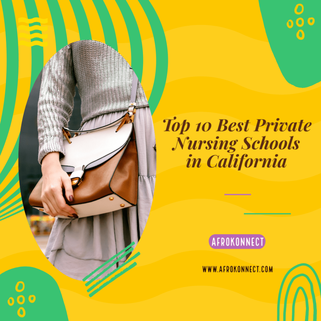 10 Best Private Nursing Schools in California in 2026 - Afrokonnect
